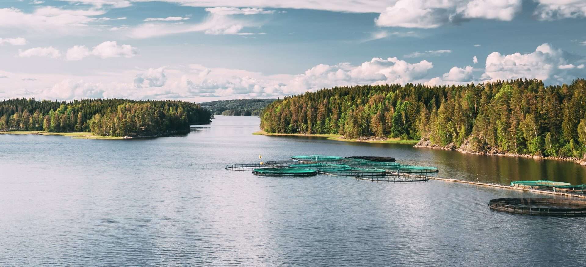 Fisheries and Oceans Canada regulations under the Single Window ...